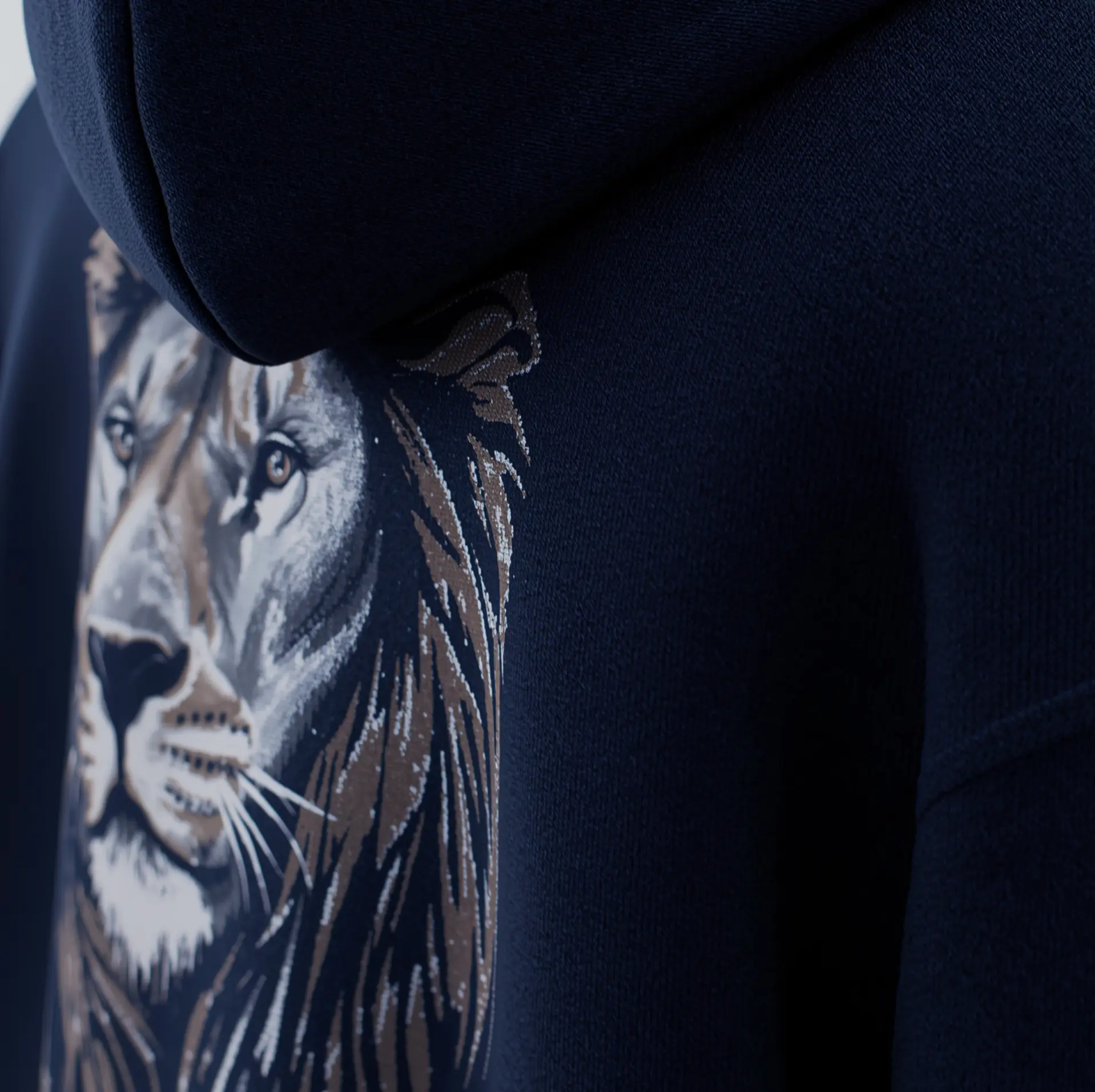Sussed - We launch fashion brands.